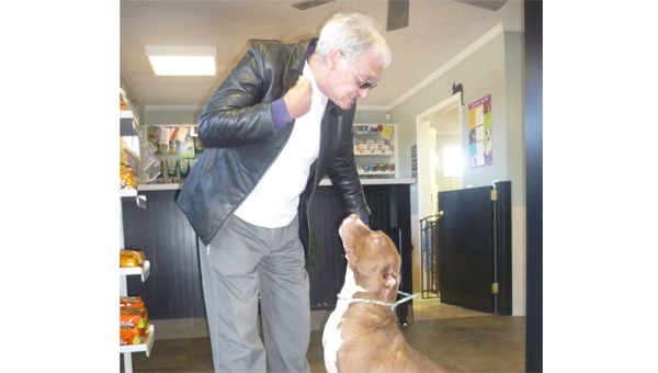 Such a good boy - The Tryon Daily Bulletin | The Tryon Daily Bulletin