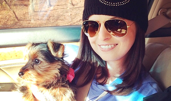 Sixth annual Climb to Conquer Cancer | The Tryon Daily Bulletin