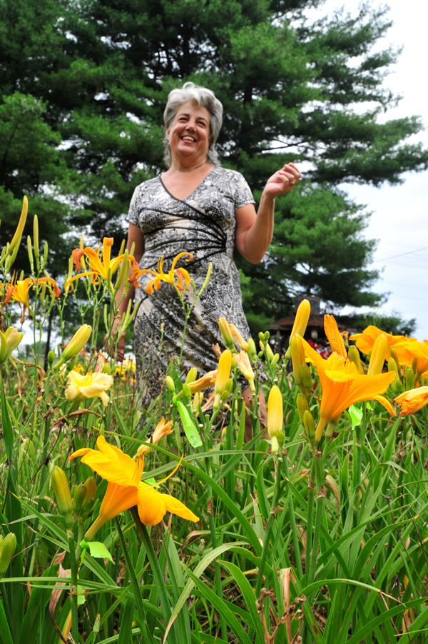 Nancy Wolff – Gaga for lilies | The Tryon Daily Bulletin