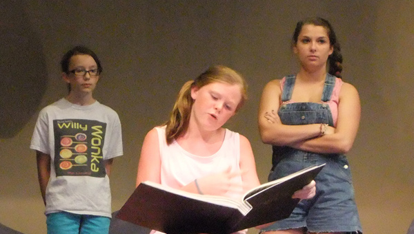 Princess Fiona | The Tryon Daily Bulletin