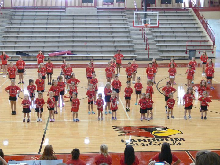 LHS Cheerleaders Cheer Camp a great success | The Tryon Daily Bulletin