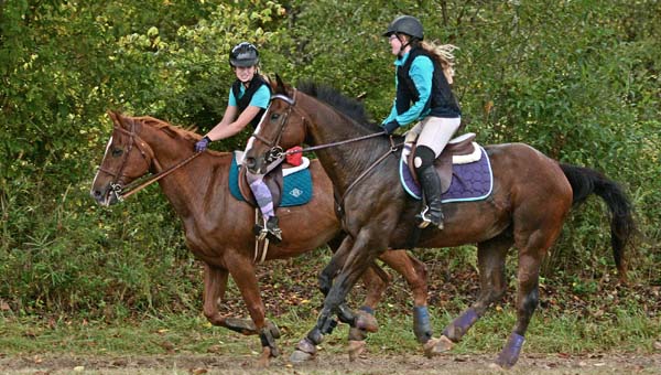 Biltmore Equestrian Center Fall Hunter Pace & Trail Ride | The Tryon ...