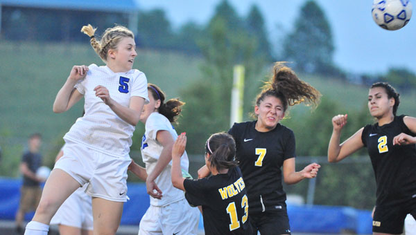 Polk tops Lincolnton, advances in state soccer playoffs | The Tryon ...