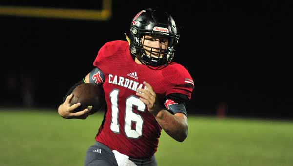 Cardinals long on effort, short on execution in football loss - The ...