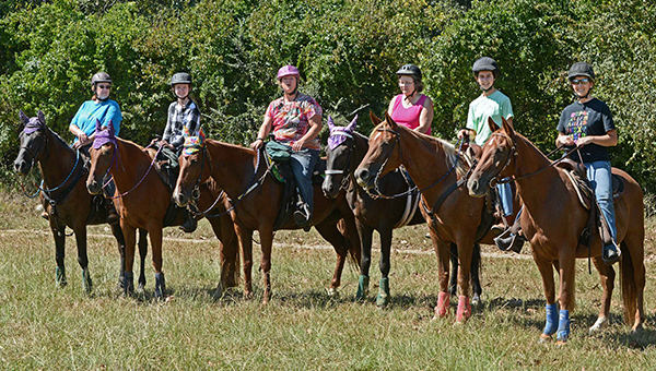 Biltmore Equestrian Center – Fall Hunter Pace & Trail Ride - The Tryon ...