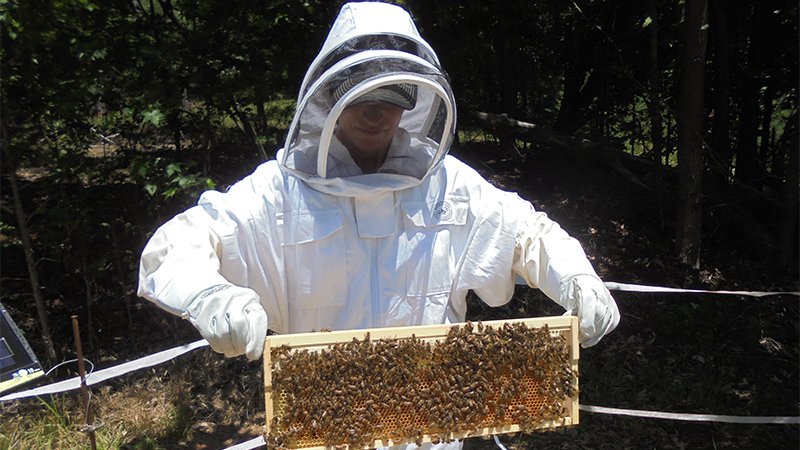 Show me the honey | The Tryon Daily Bulletin