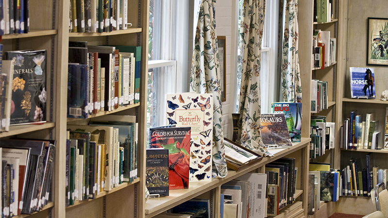 LeDuc Room goes natural at Lanier Library - The Tryon Daily Bulletin ...