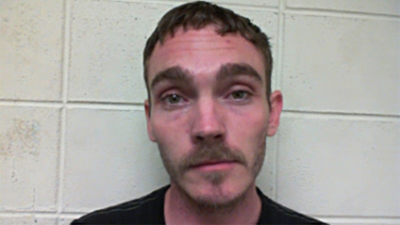 Polk sheriff’s office arrests Piedmont man for trafficking bath salts ...