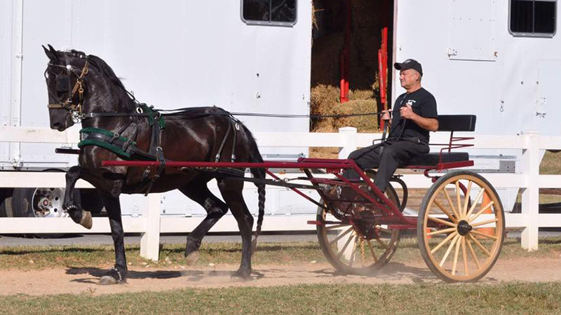 Local carriage shop supplies the world | The Tryon Daily Bulletin