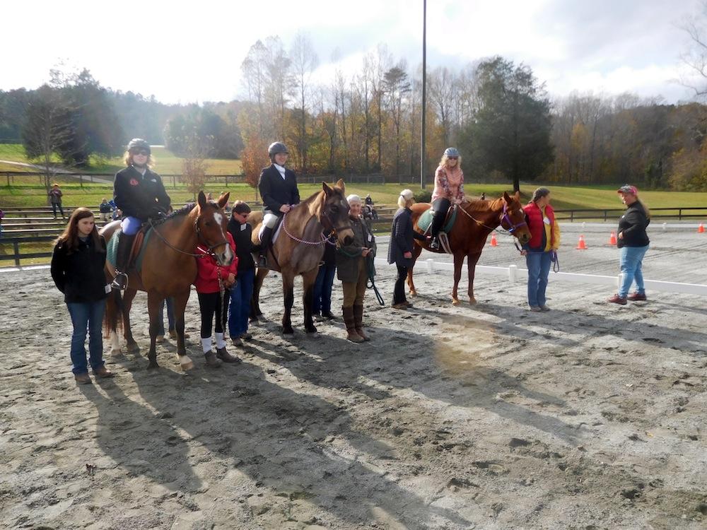 TROT receives national attention | The Tryon Daily Bulletin