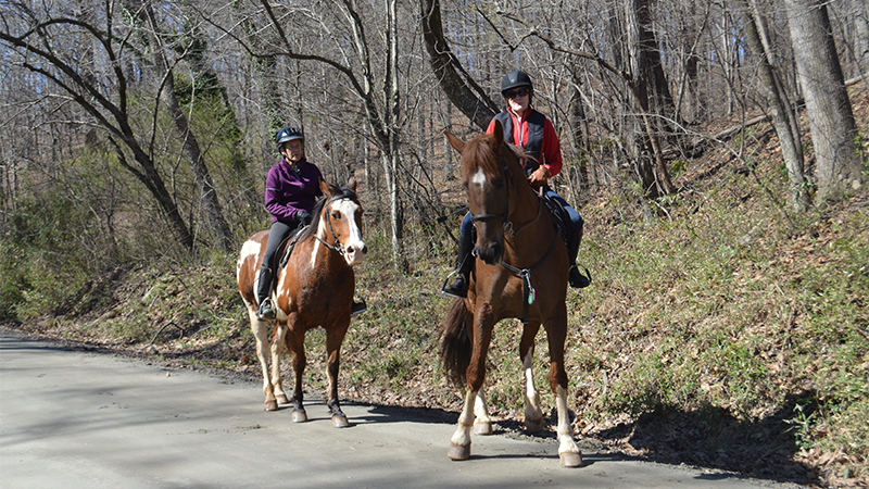 ‘Our Changing Equestrian Landscape’ | The Tryon Daily Bulletin
