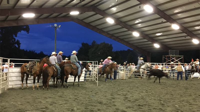 FENCE to host second annual Round-Up Rodeo June 29, 30 | The Tryon ...