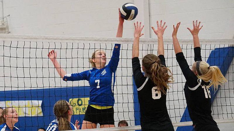 Wolverines take eighth in Wells Fargo Cup state competition - The Tryon ...