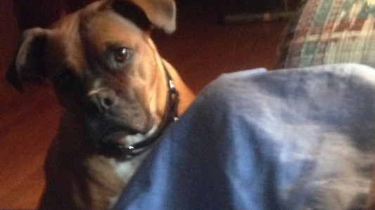 Leonard Rizzo, Author at The Tryon Daily Bulletin - Page 7 of 39 | The ...