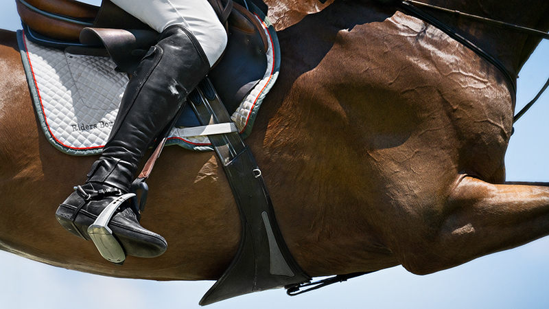 Tryon photographer is all about the horse | The Tryon Daily Bulletin