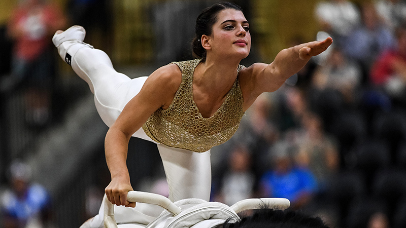 Long standing partnership catapults Denmark rider to WEG vaulting ...