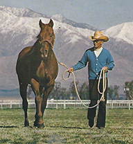 Jerry Dove | The Tryon Daily Bulletin