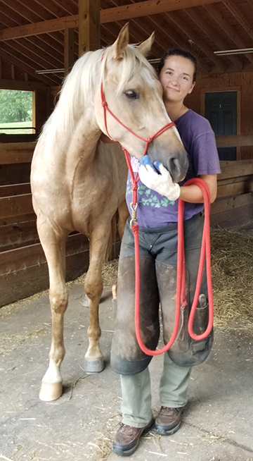 Pebbles: Few and far between | The Tryon Daily Bulletin