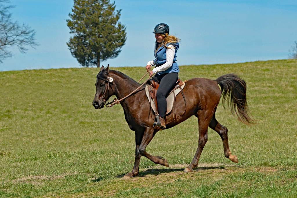 Windridge Farm Spring Hunter Pace and Trail Ride recap from March 8 ...