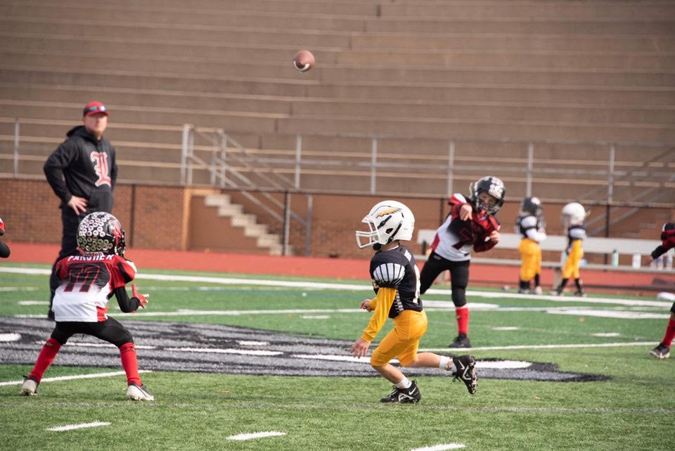 Landrum Cardinals 2G football team win championship game - The Tryon ...