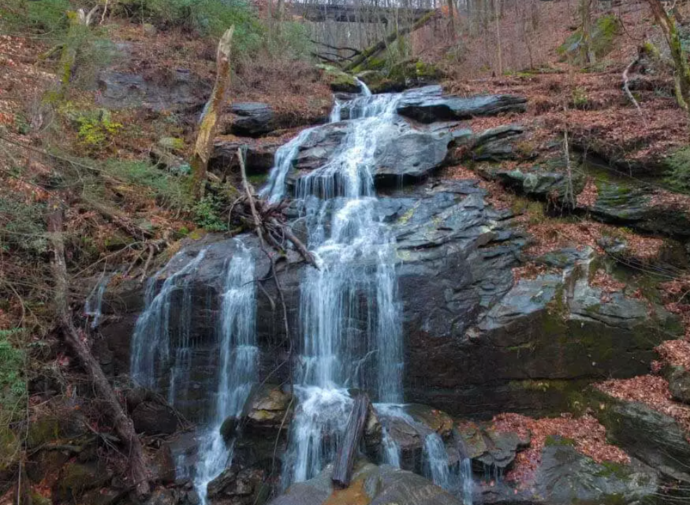 Five-year-old falls 40ft on Tryon hiking trail | The Tryon Daily Bulletin