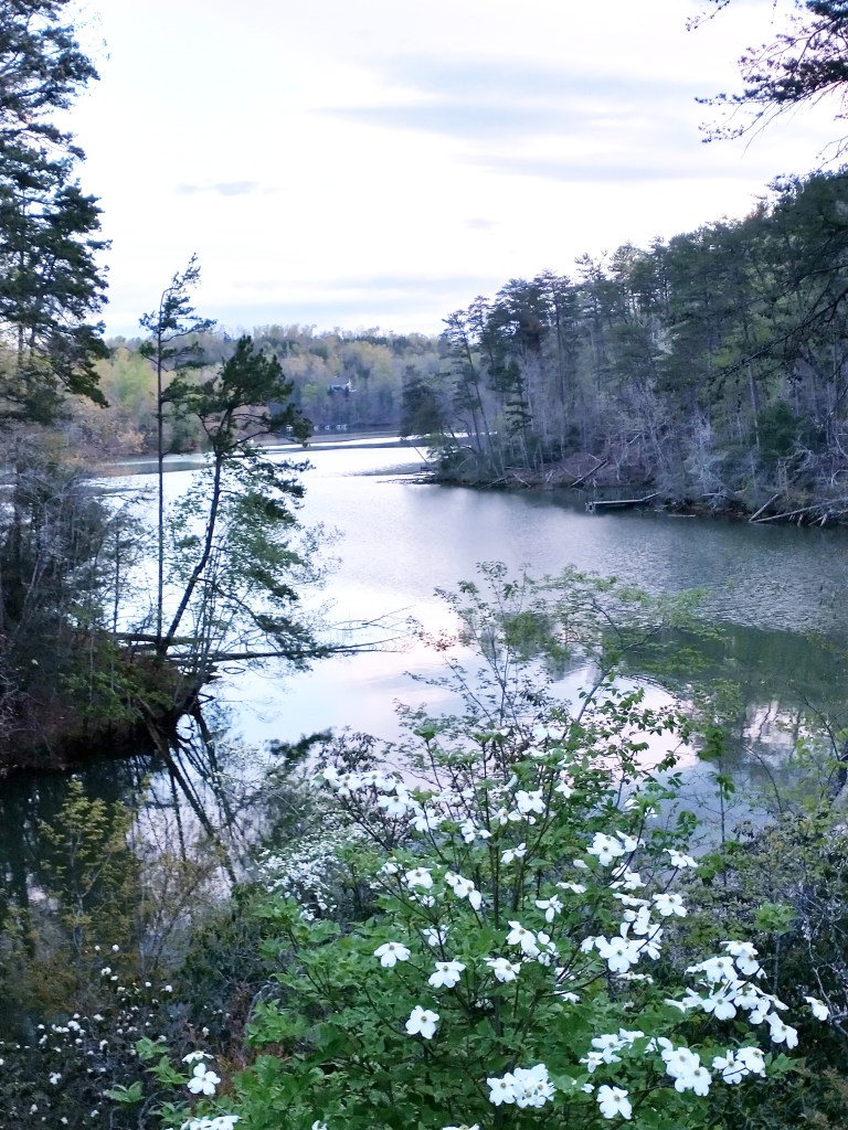 Lake Adger Celebration to be held May 7 - The Tryon Daily Bulletin ...