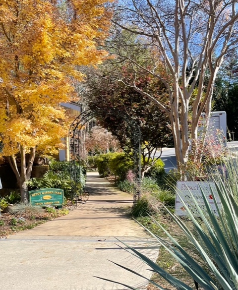 Tryon Depot Garden displays amazing fall colors | The Tryon Daily Bulletin