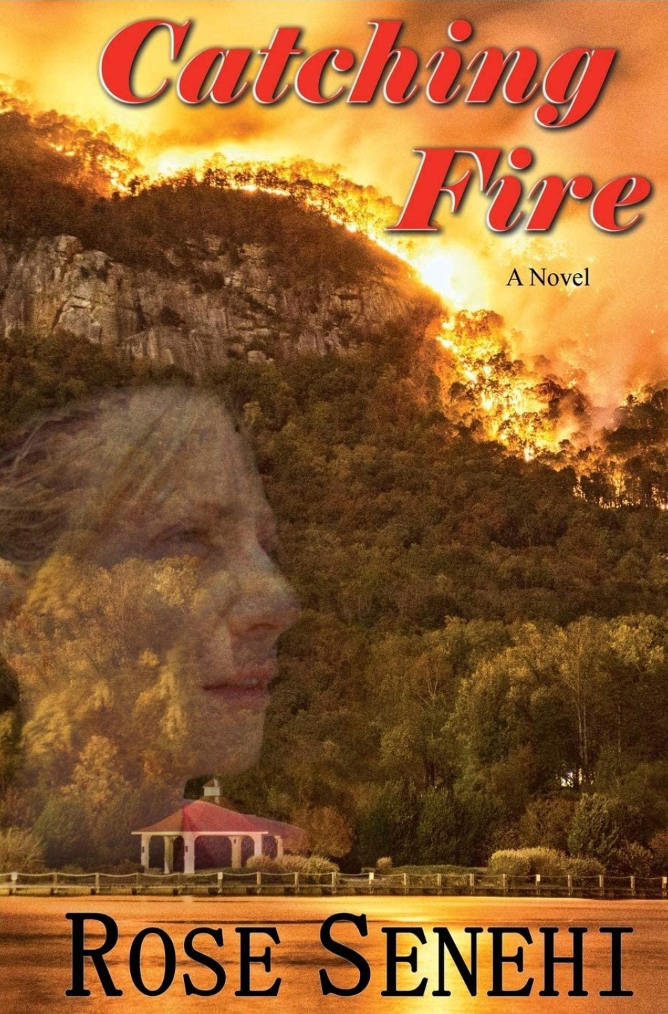 Firefighters receive autographed copies of book based on 2016 fire ...