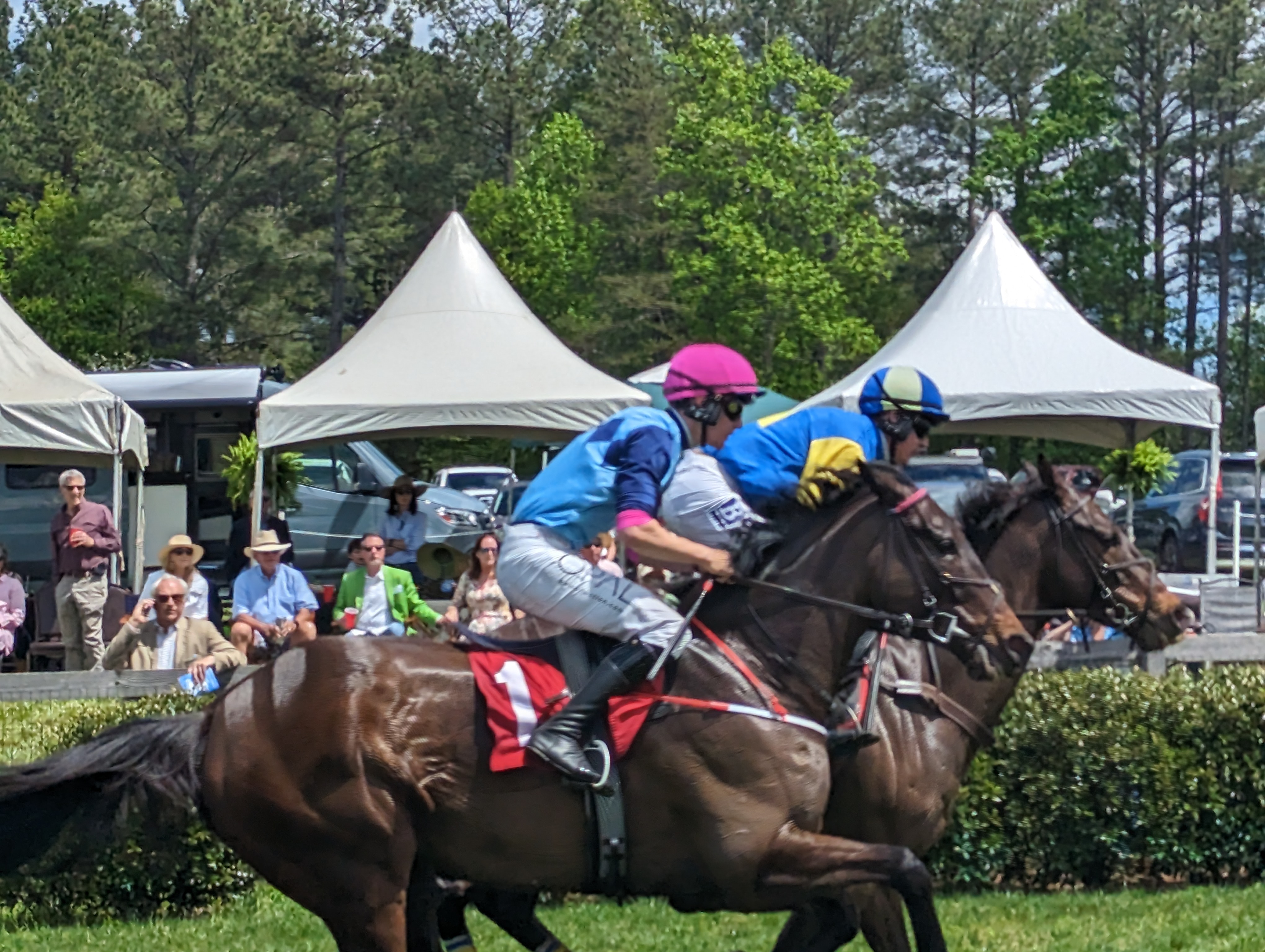 Thousands attend 75th Block House Steeplechase on Saturday - The Tryon ...