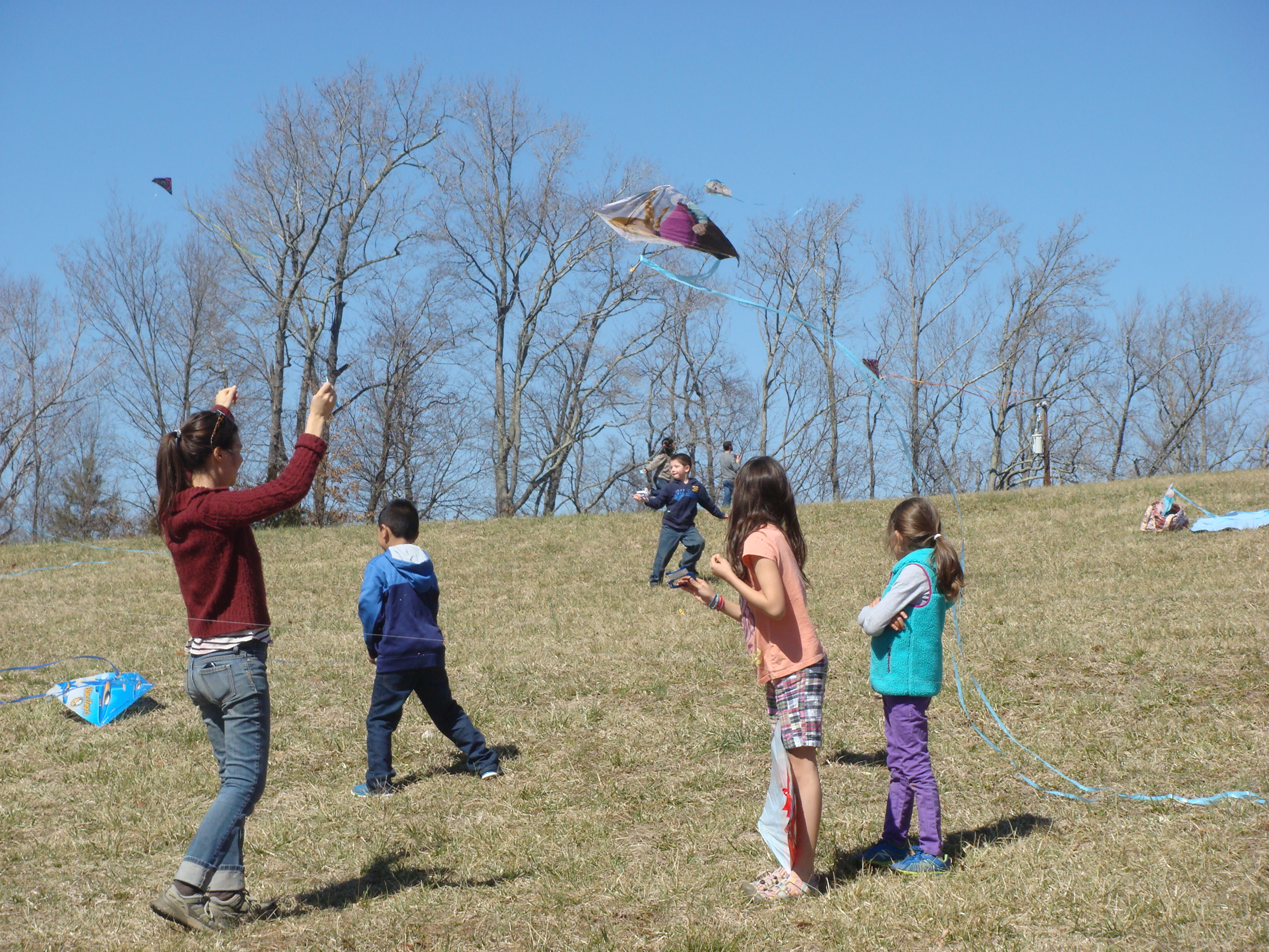 Go Fly a Kite Day returns to FENCE | The Tryon Daily Bulletin