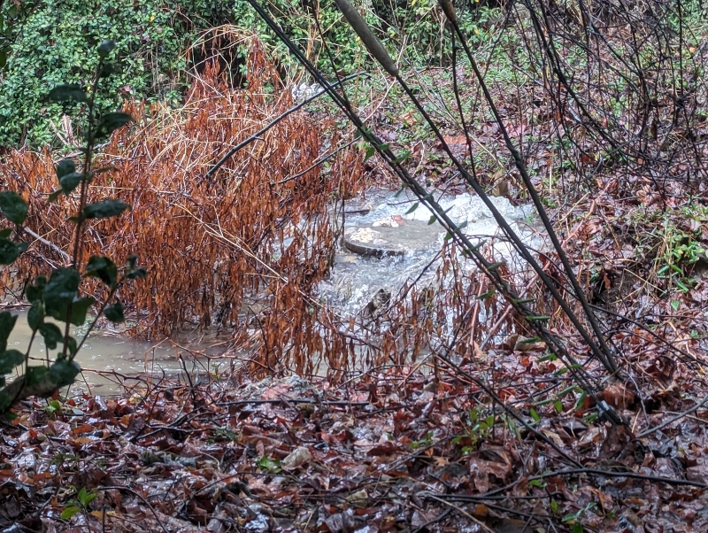 Sewage manhole overflow in Tryon raises concerns amidst recent heavy ...