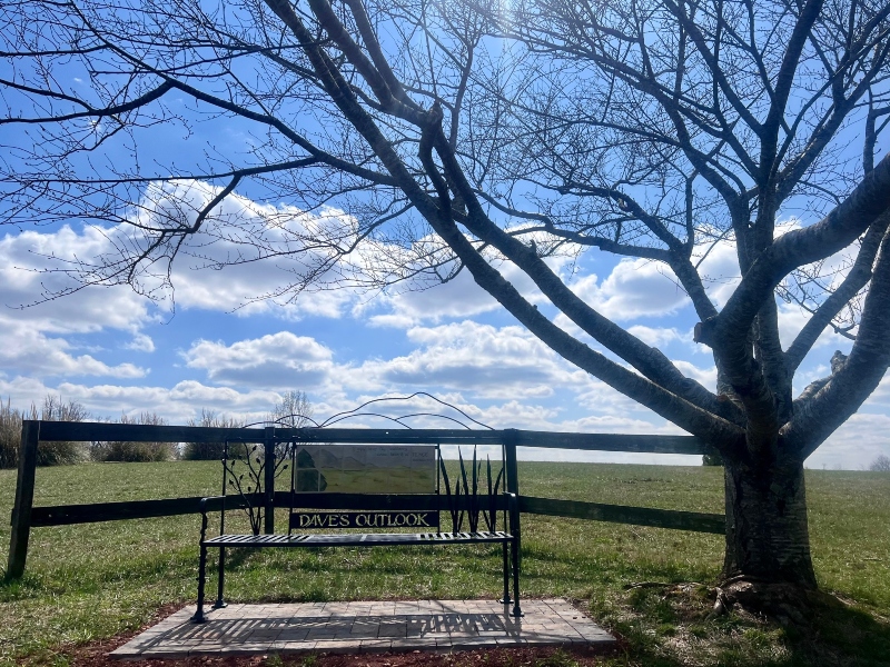 Special bench at FENCE restored | The Tryon Daily Bulletin