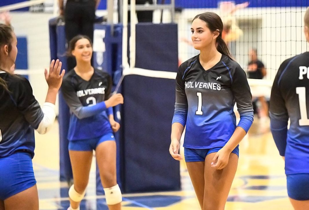 VOLLEYBALL: Defending champs gear up for new challenges in 2024 | The ...