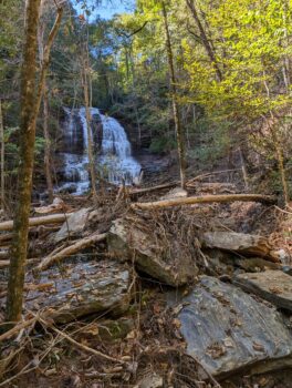 Pearson’s Falls and Glen sustains severe damage due to Helene - The ...
