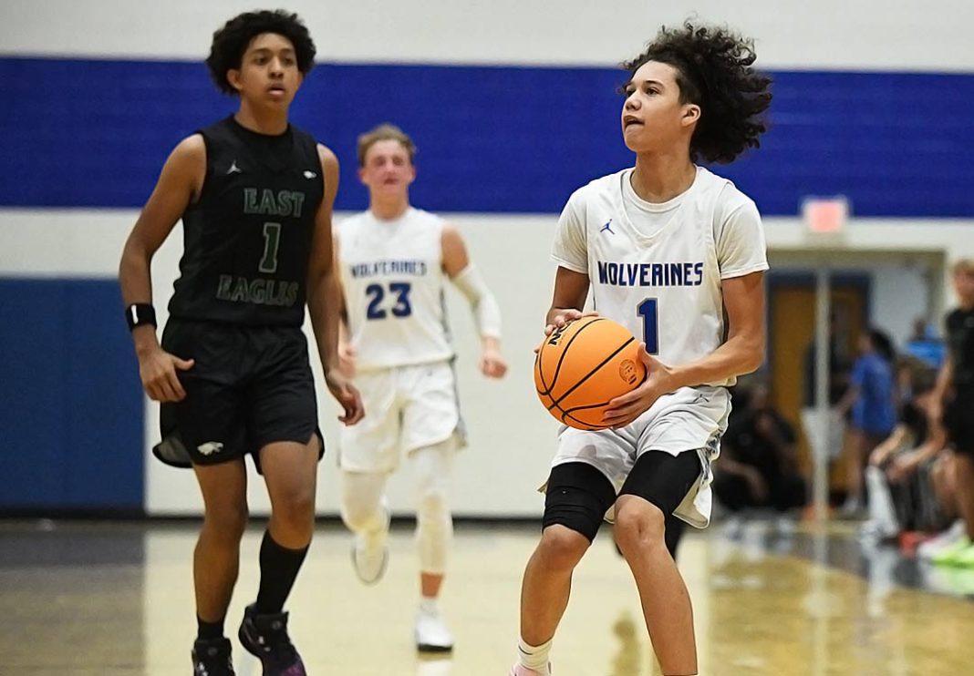 Madison stymies Polk offense to topple Wolverines | The Tryon Daily ...